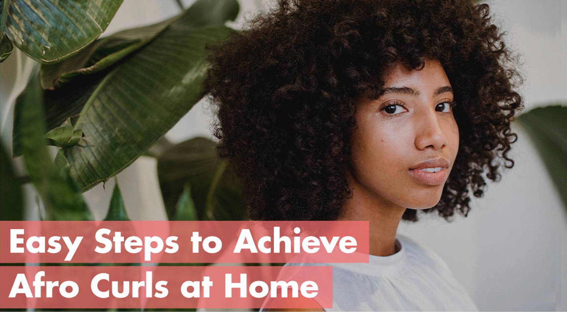 Easy Steps to Achieve Afro Curls at Home – Indique Hair